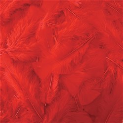 Feathers | CleverPatch - Art & Craft Supplies