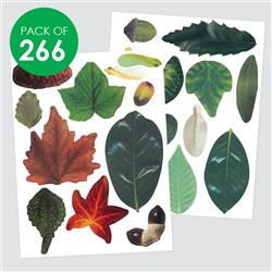 Autumn | CleverPatch - Art & Craft Supplies