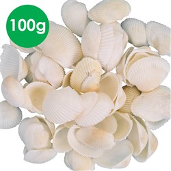 shells Search Results | CleverPatch - Art & Craft Supplies