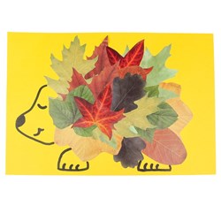 Autumn | CleverPatch - Art & Craft Supplies