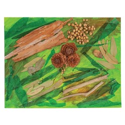 World Environment Day Craft Ideas | CleverPatch - Art & Craft Supplies