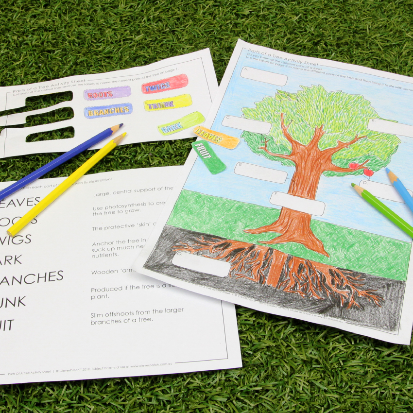 Parts Of A Tree Worksheet THE PARTS OF A TREE : Paper Craft Activity