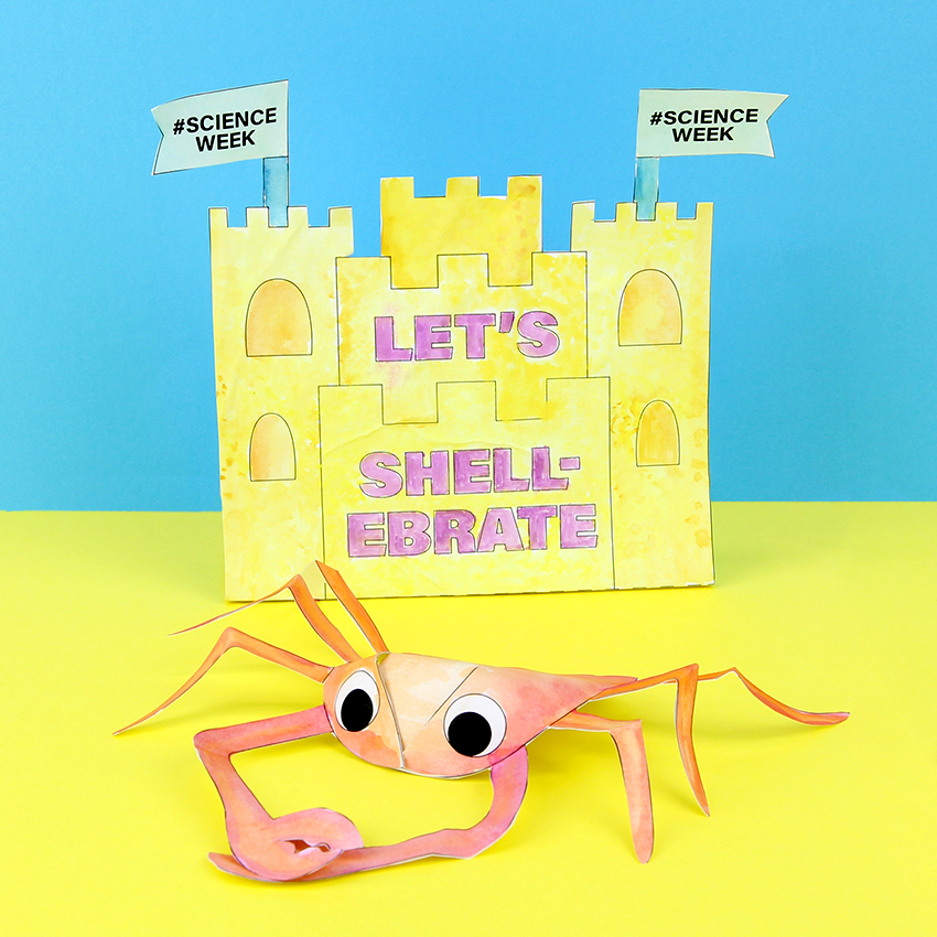 Let's Shell-ebrate Science Week 2020 | Paper & Card - CleverPatch ...