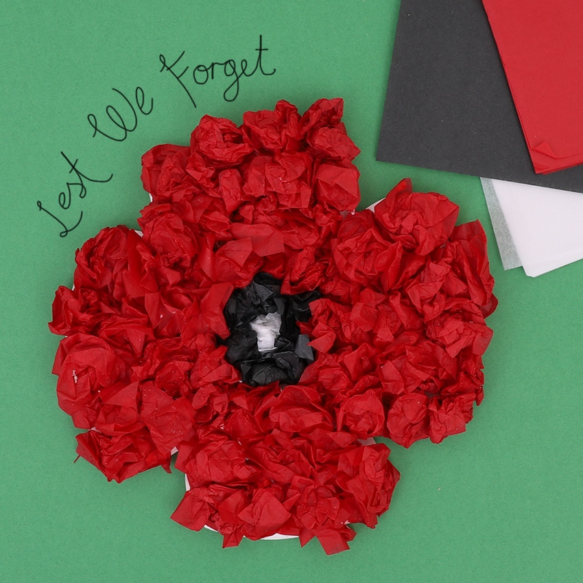 CleverPatch Crafternoons - Scrunch Art Paper Plate Poppy | Paper & Card ...