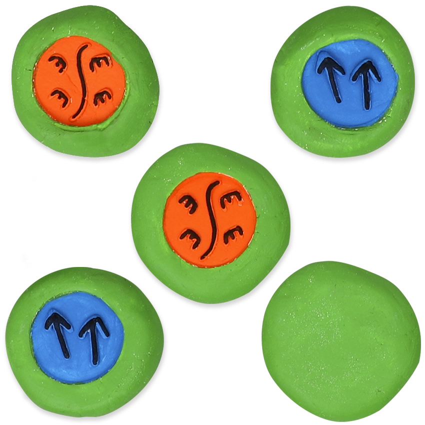 Indigenous Symbol Memory Disc Game | NAIDOC Week & Reconciliation ...