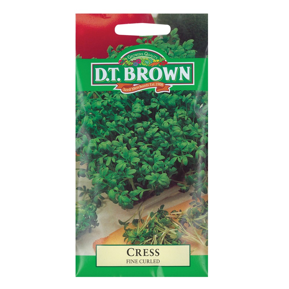 Cress Seeds - Pack of 5,000 | Gardening | CleverPatch - Art & Craft ...