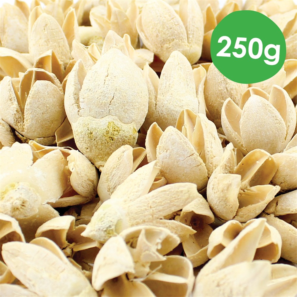 Bakuli Pods - 250g Pack | Botanicals | CleverPatch - Art & Craft Supplies