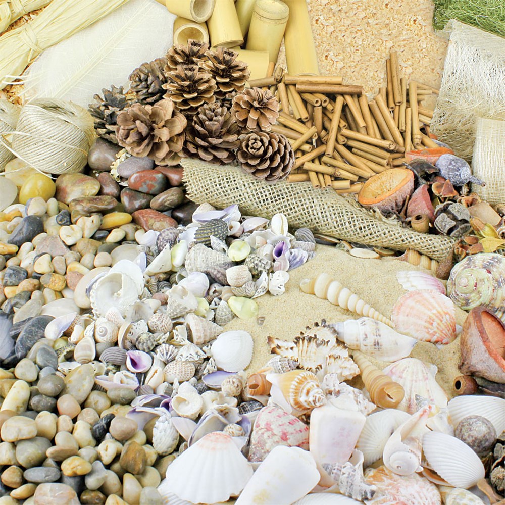 Natural Exploration Starter Pack | Activity & Bumper Packs ...