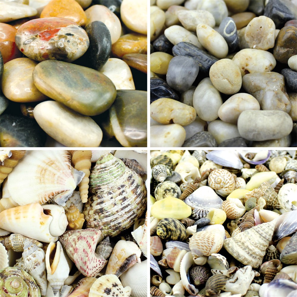 Natural Exploration Starter Pack | Activity & Bumper Packs ...