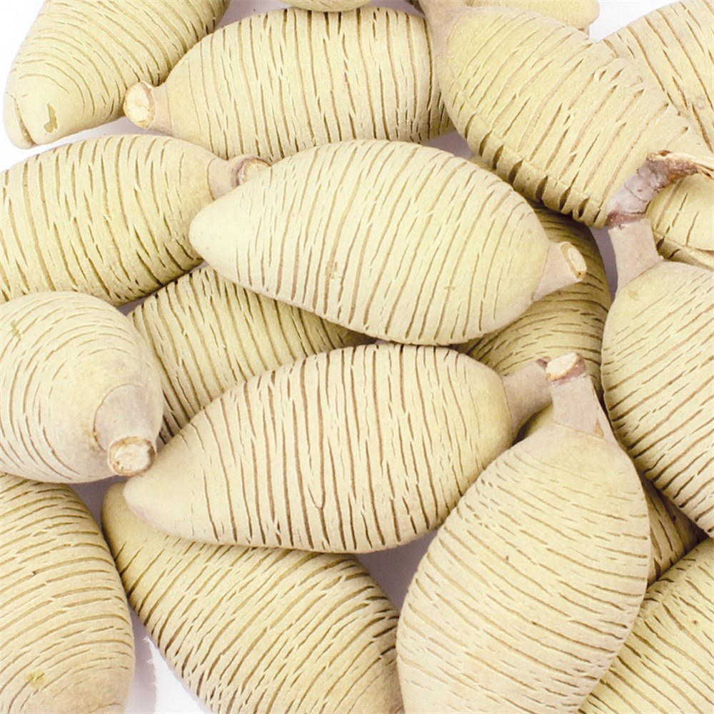 Sand Woody Pears - 250g Pack | Botanicals | CleverPatch - Art & Craft ...