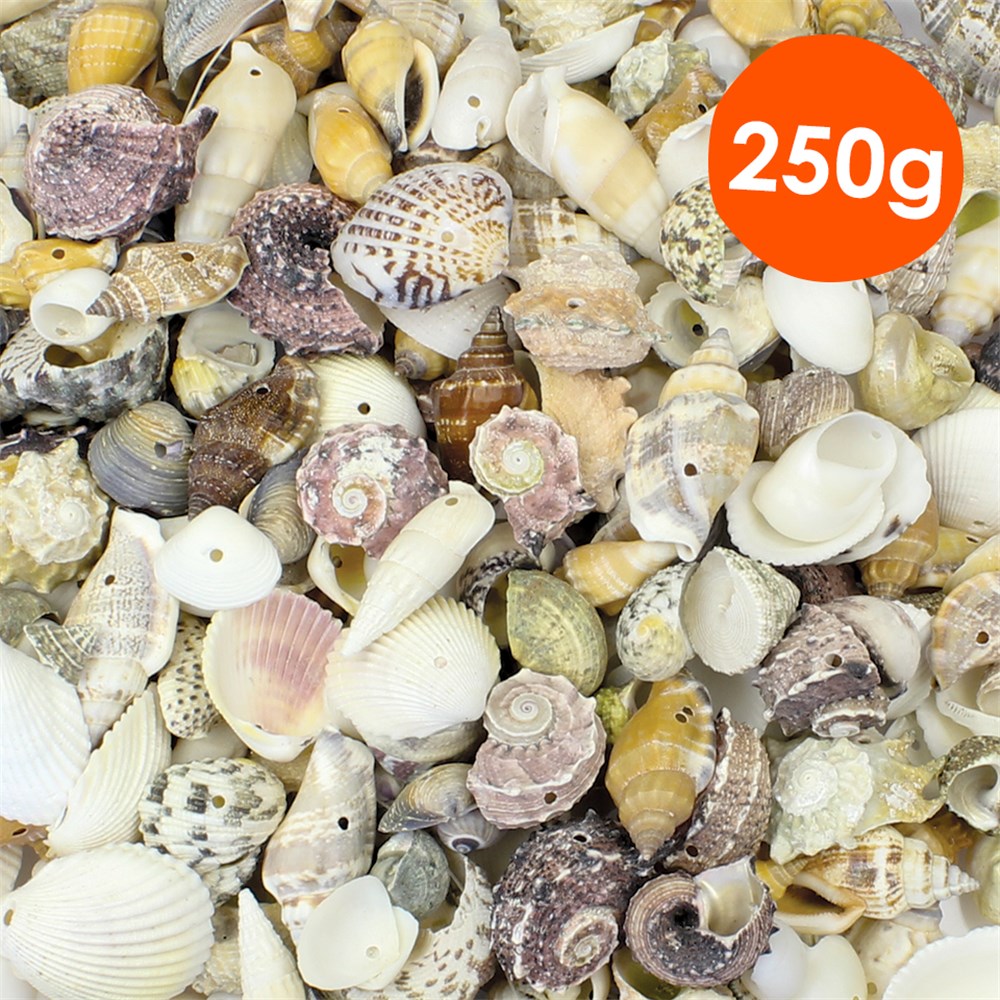 Small Threading Shells - 250g Pack | General Collage | CleverPatch ...