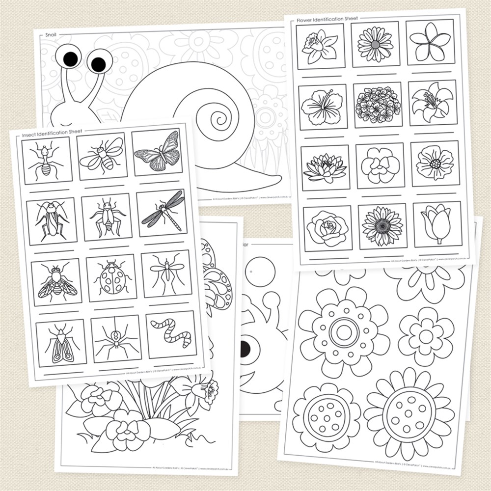 All About Minibeasts & the Garden Project Bumper Pack | Minibeasts ...