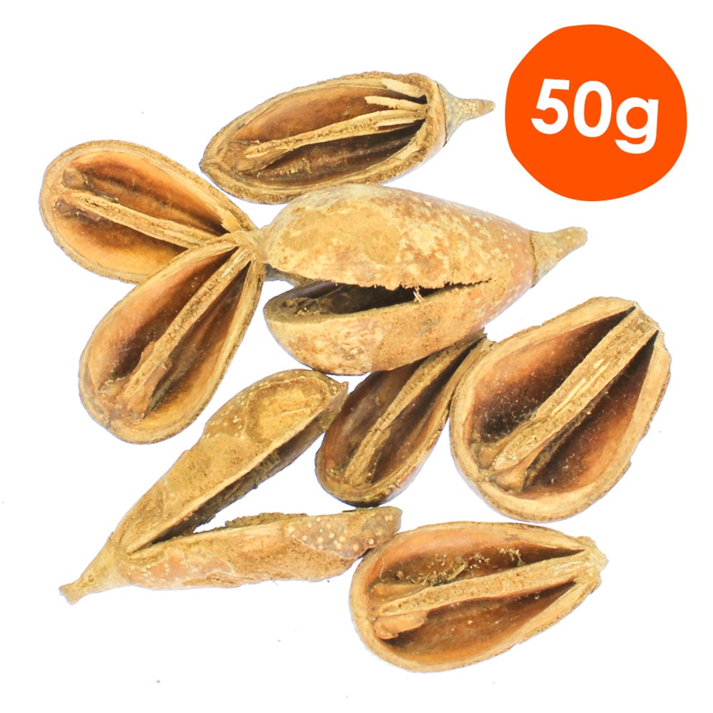Bagun Slices - 50g Pack | Botanicals | CleverPatch - Art & Craft Supplies