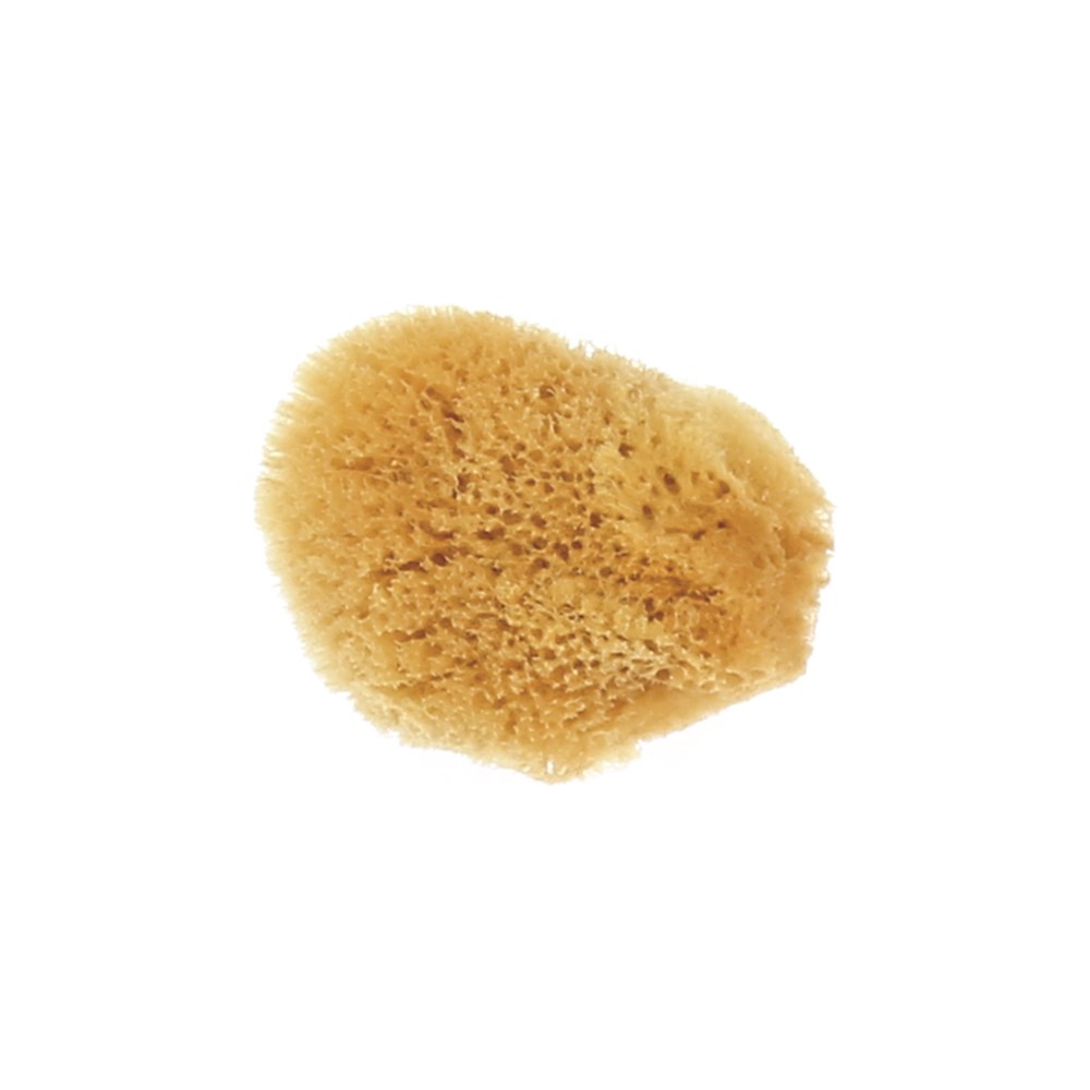 Natural Sea Silk Sponge - Small | Sponges & Stampers | CleverPatch ...