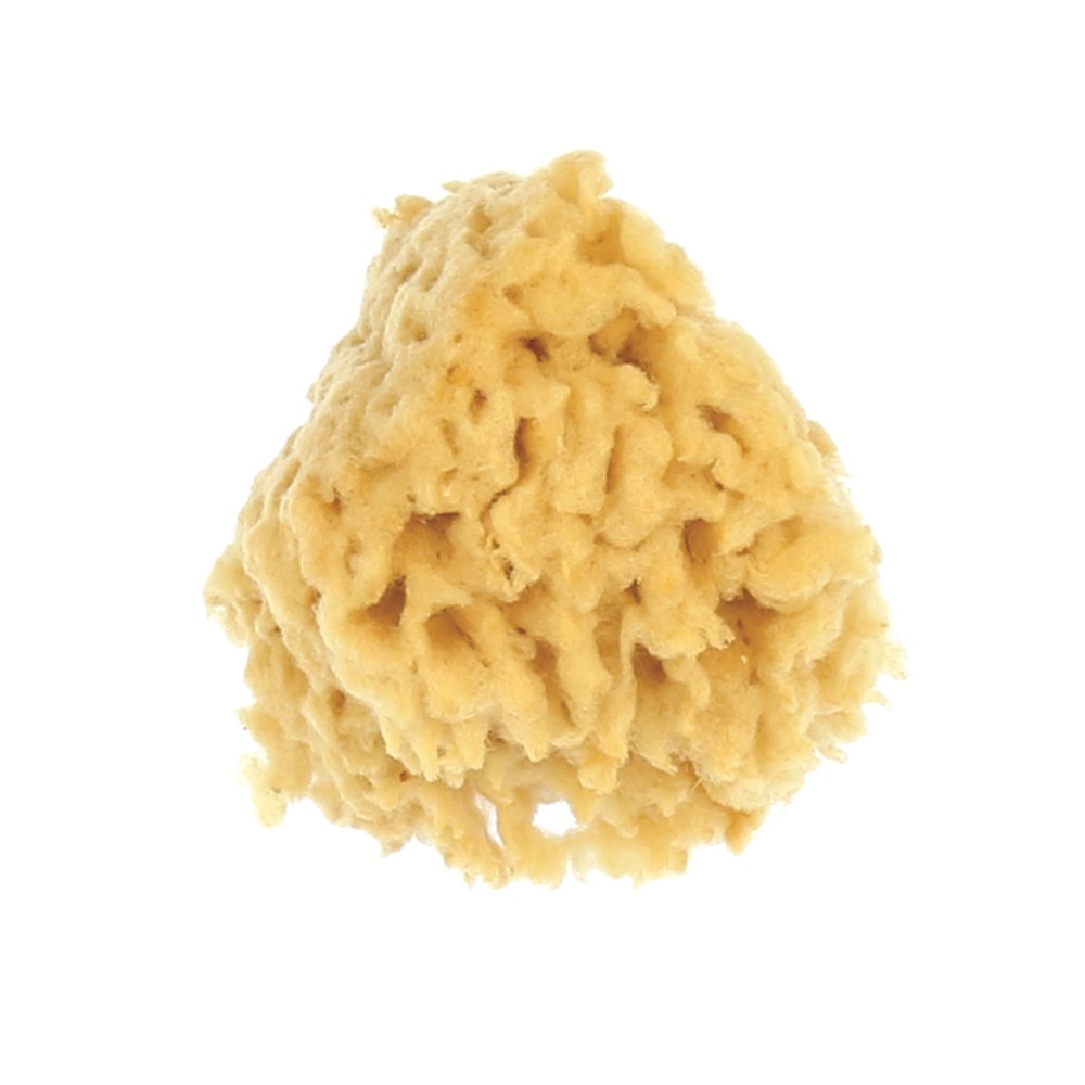 Natural Sea Silk Sponge - Medium | Sponges & Stampers | CleverPatch ...