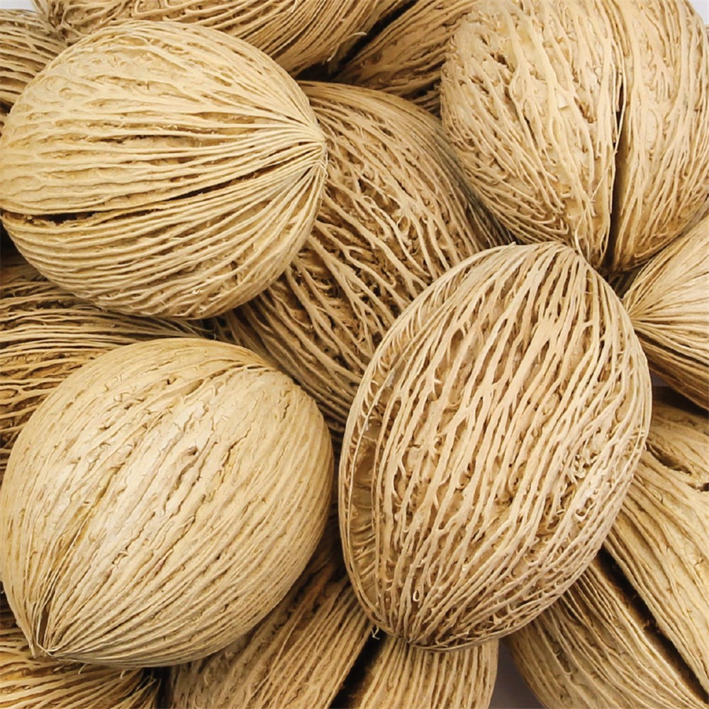 Mintolla Balls - Bleached - Pack of 10 | Botanicals | CleverPatch - Art ...