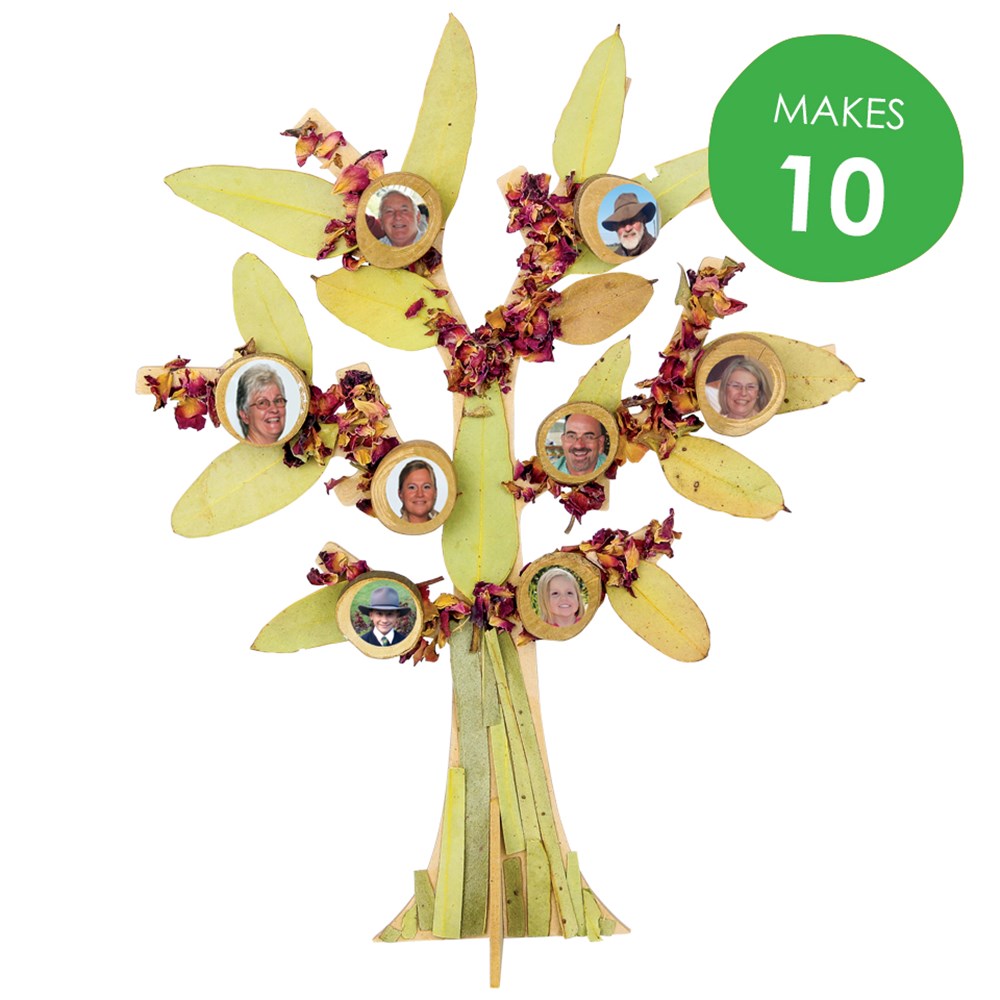Natural Family Tree Activity Pack | Activity Packs | CleverPatch - Art ...
