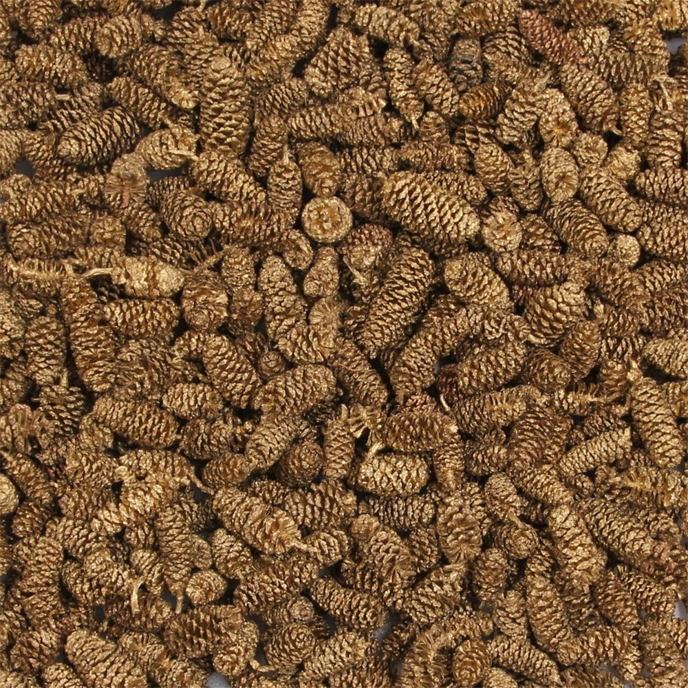Mini Pine Cones - Gold - 250g Pack - Botanicals | CleverPatch - Art & Craft Supplies