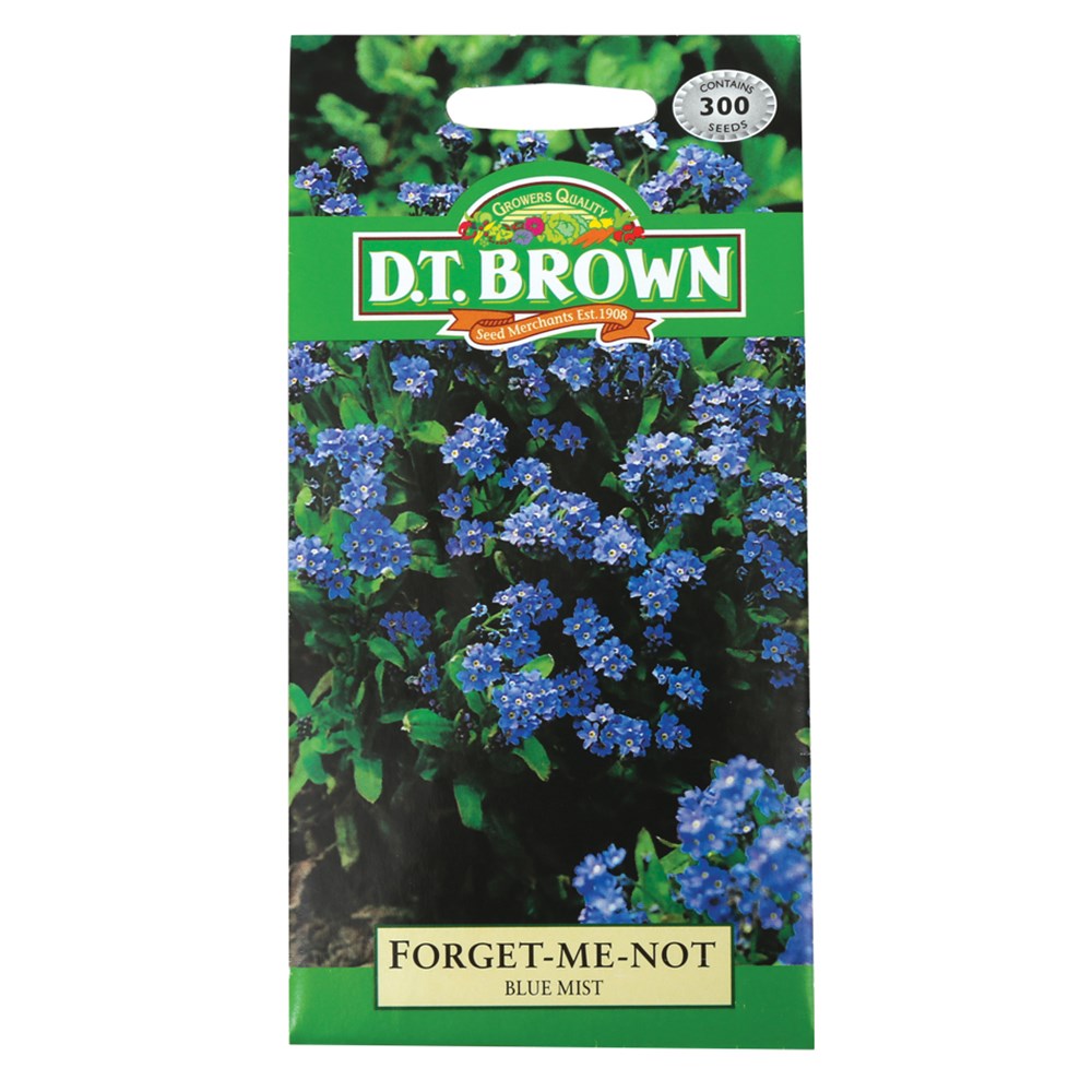 Forget-Me-Not Flower Seeds - Pack of 500 - CleverPatch | CleverPatch ...