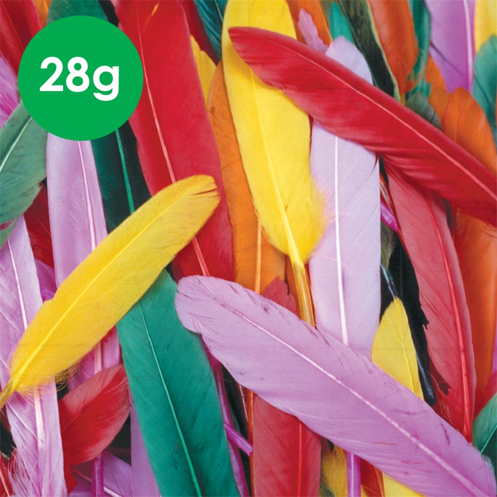 Colorations Rainbow Duck Quill Feathers - 28g - CleverPatch ...