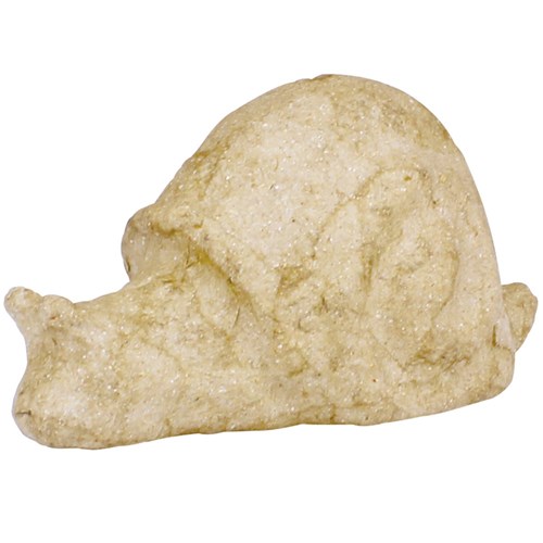 3D Papier Mache Snail | Papier Mache | CleverPatch - Art & Craft Supplies