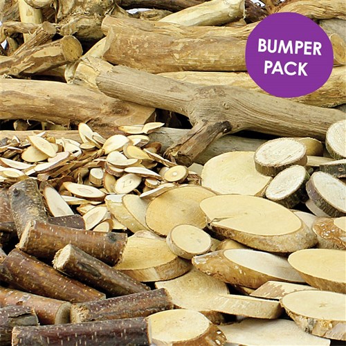 Wooden Offcuts Bumper Pack | Activity & Bumper Packs | CleverPatch ...