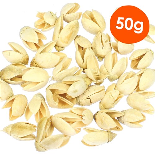 Bakuli Pods - 50g Pack | Botanicals | CleverPatch - Art & Craft Supplies