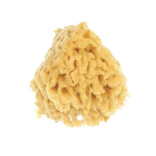 Natural Sea Silk Sponge - Medium | Sponges & Stampers | CleverPatch ...