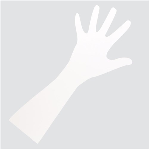 Hands & Wrists - White Cardboard - Pack of 20 - CleverPatch ...